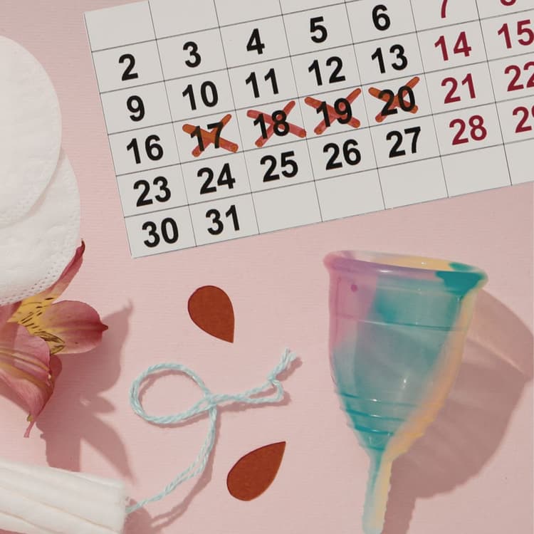 What is a Normal Period? What does a Normal Menstrual Cycle Look & Feel ...